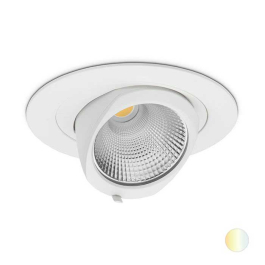 Loftespot DL-QA-mini Dynamisk hvid DALI